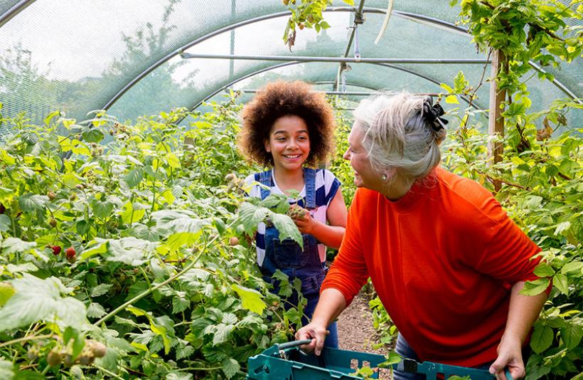 Community Benefit Programs | TidalHealth
