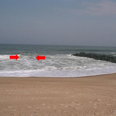 John Whittaker | TidalHealth