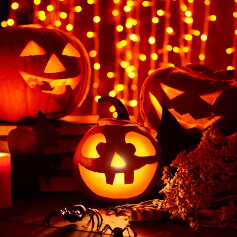 Schedule with Jack Snitzer, DO, Diabetes | TidalHealth